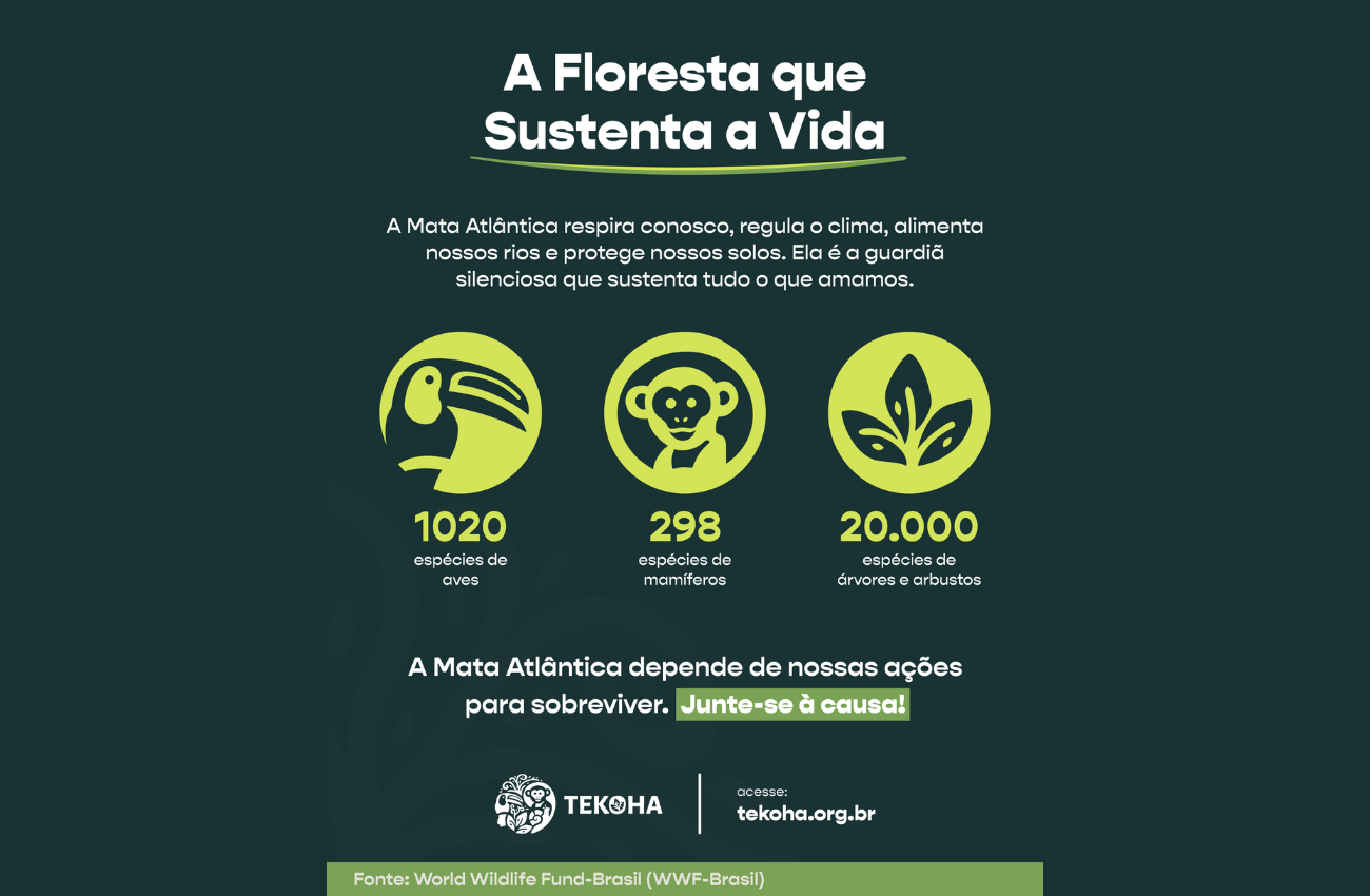 Os Benefícios da Mata Atlântica para a Vida e a Importância da ...